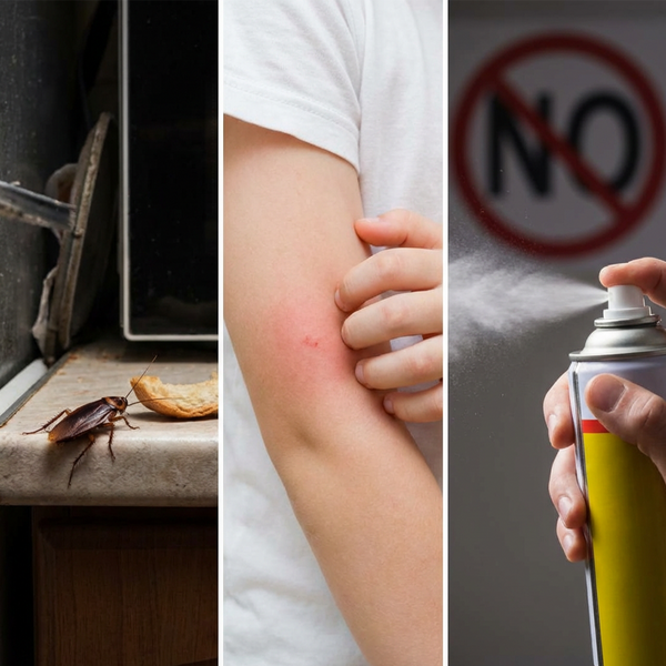 🌿50% OFF🌿 Plant-based insect repellent gel magic box, safe, worry-free ...